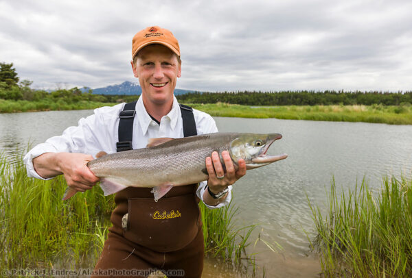 Alaska salmon photos include the pink, red and king salmon.