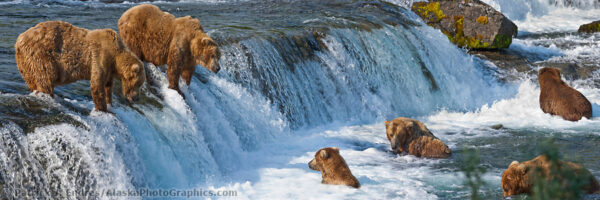 Katmai National Park photos