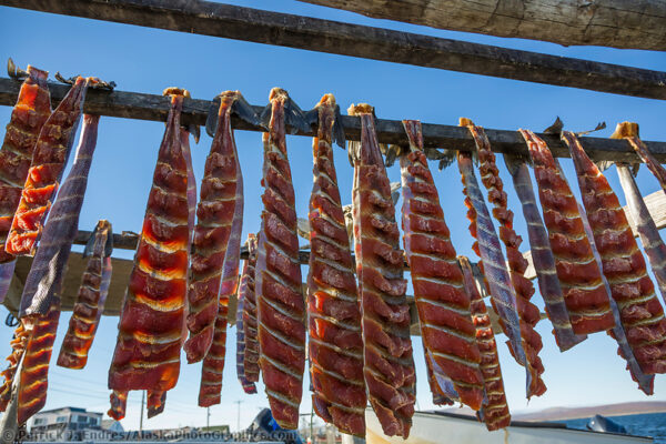 Alaska salmon photos include the pink, red and king salmon.