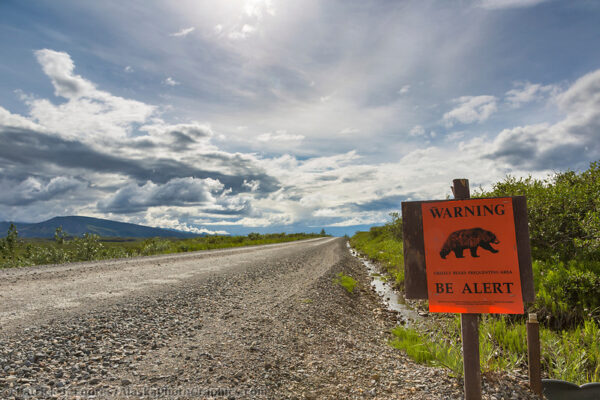 Denali National Park photos