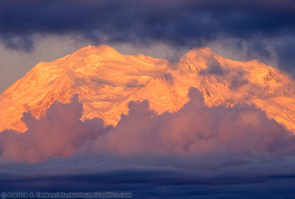 Denali photos and stock photography for your publishing needs