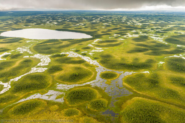 Tundra photos from Alaska's Interior and Arctic landscape.